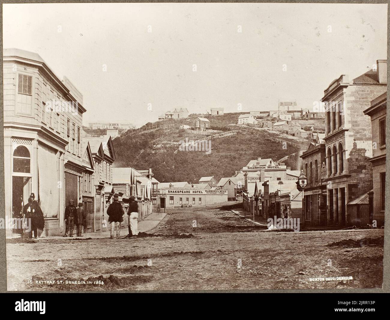 Dunedin in 1864 from the album hi-res stock photography and images - Alamy