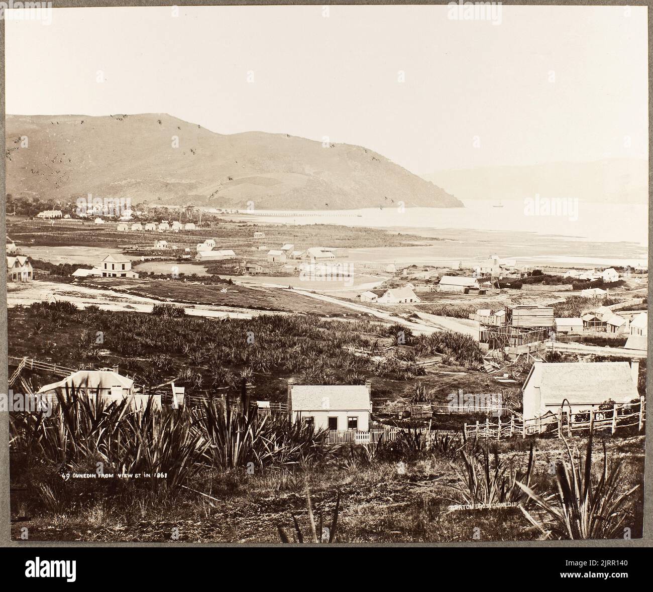 Dunedin from View Street in 1861. From the album: Early Dunedin ...