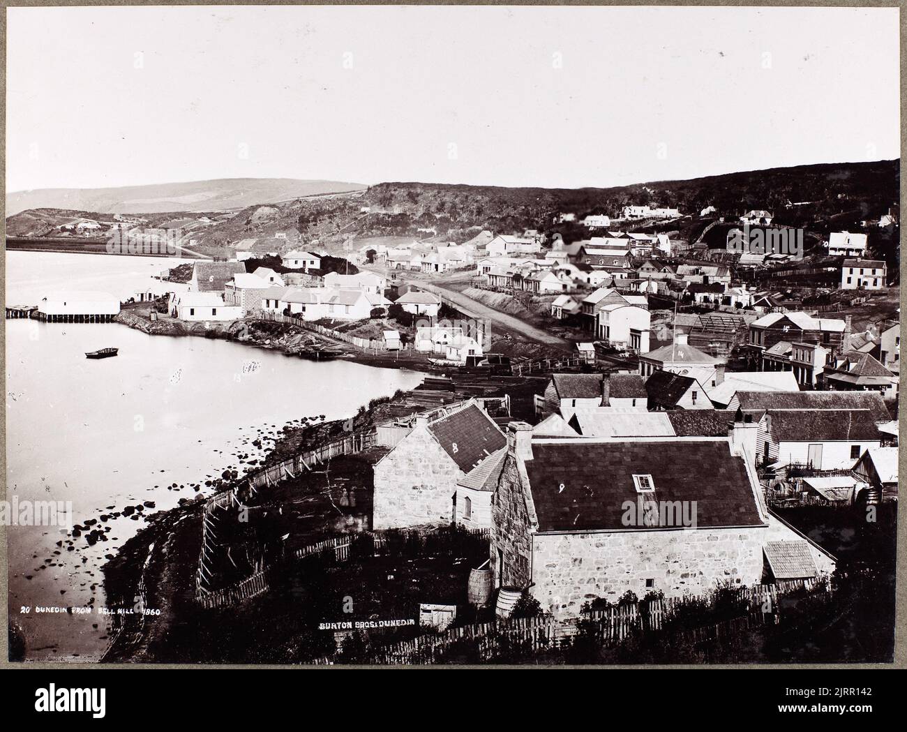 Dunedin from Bell Hill, 1860. From the album: Early Dunedin, Meluish ...