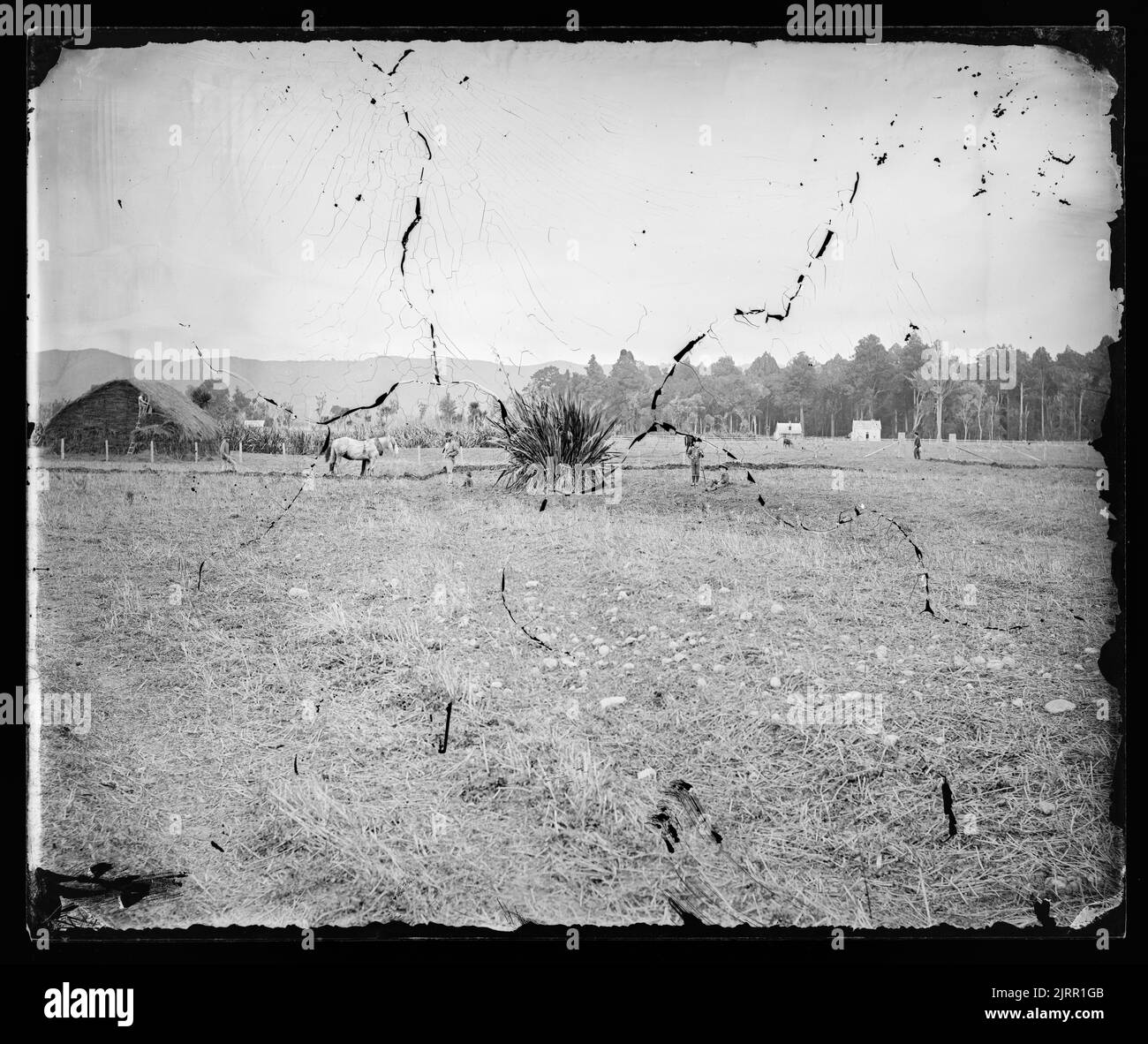 Farming life, circa 1878, Manawat, by James Bragge Stock Photo - Alamy