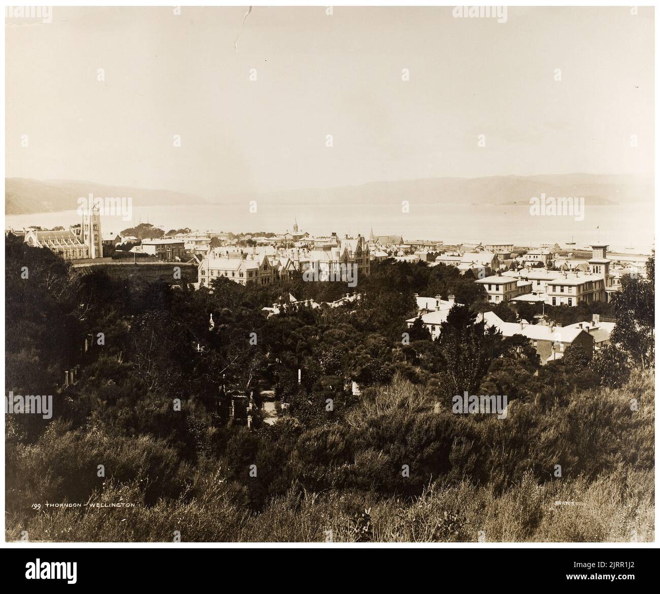 Wellington thorndon hi-res stock photography and images - Alamy