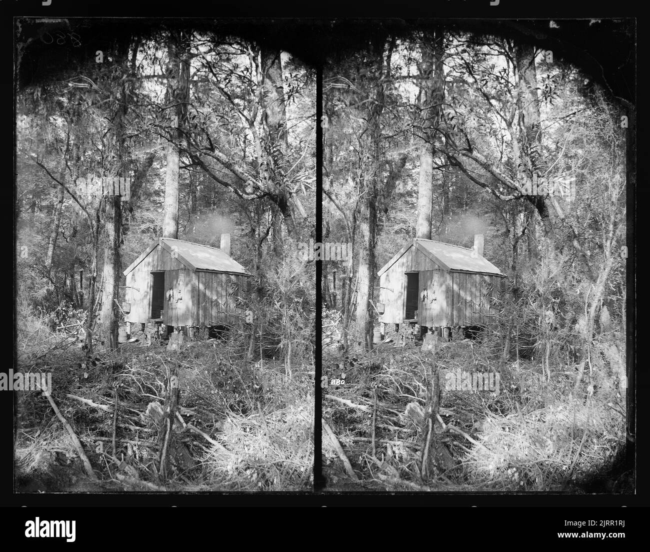 On the Clinton Track, the hut, Te Anau Stock Photo - Alamy