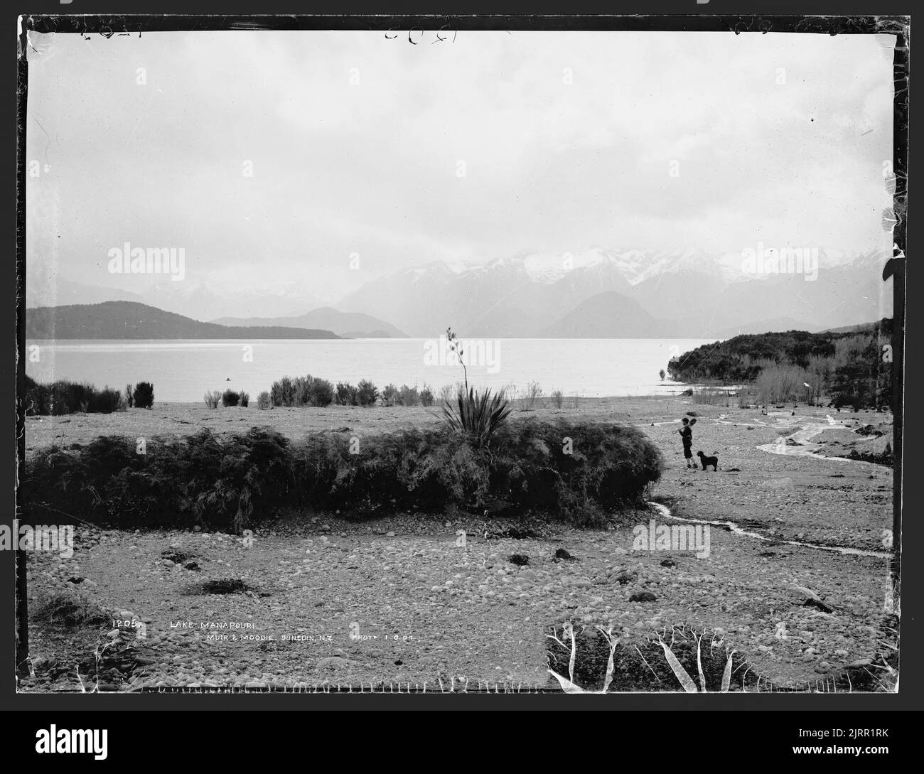 Lake Manapouri, 1881, New Zealand, by Burton Brothers Stock Photo - Alamy