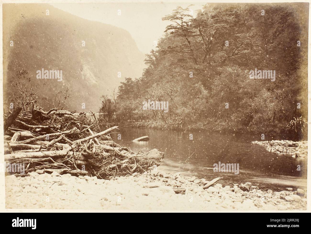 Untitled. From the album: Views of New Zealand Scenery, circa 1880, New ...