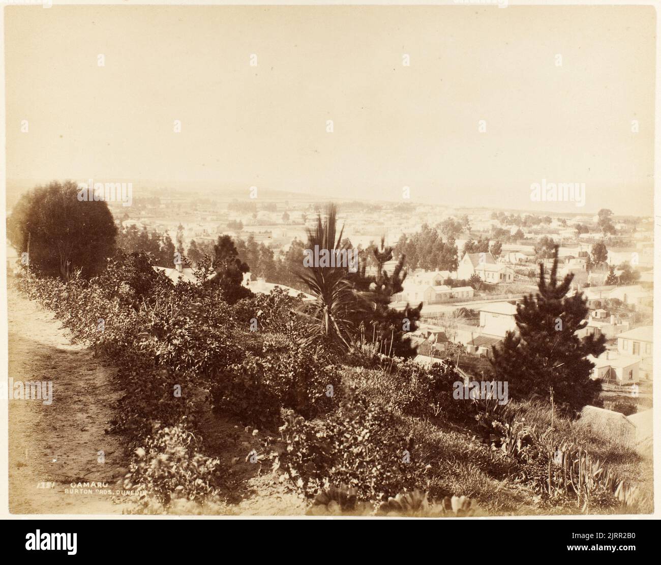 Oamaru from the album hi-res stock photography and images - Alamy