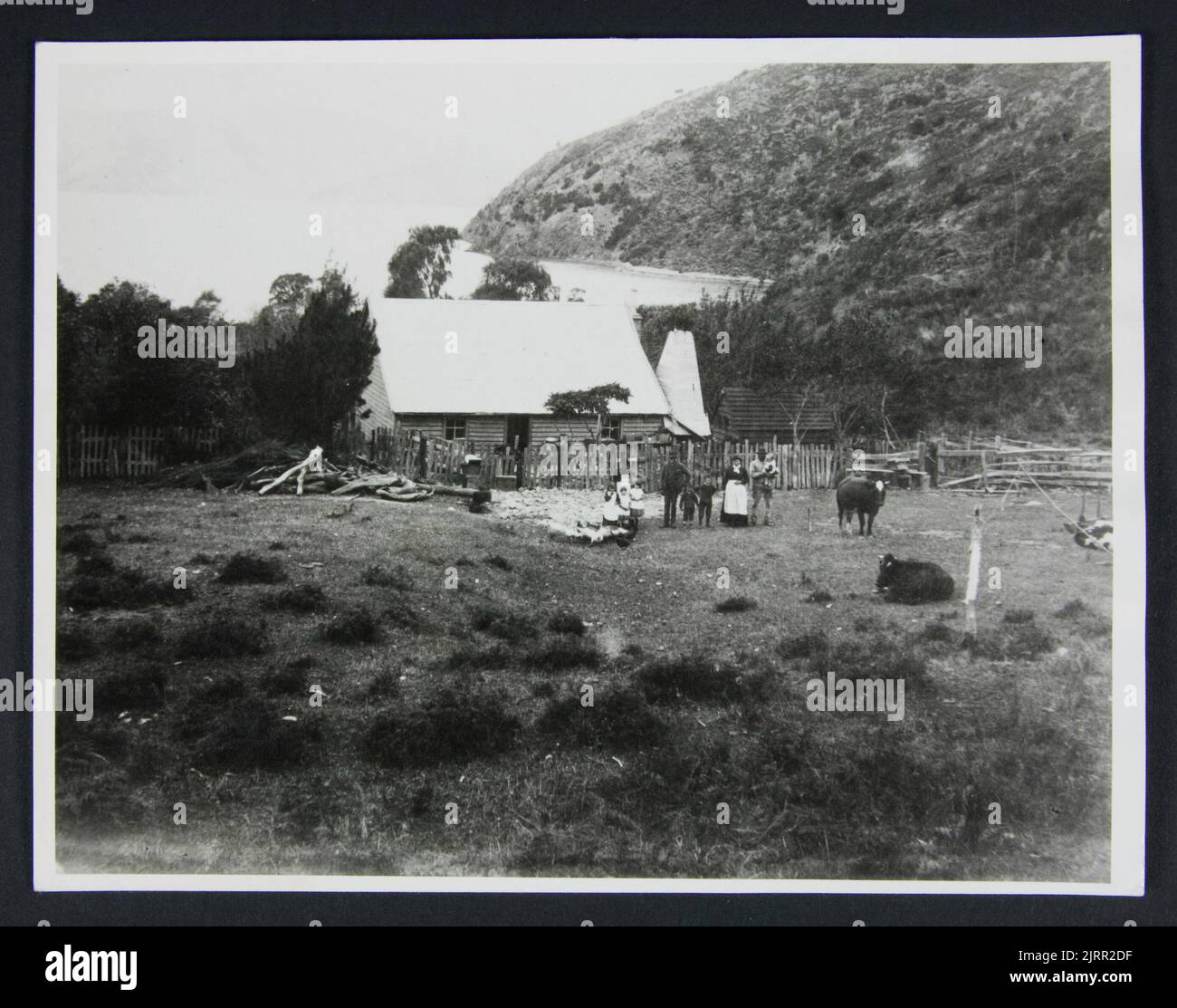 Photograph, circa 1887, maker unknown. Gift of the H.A. Guard and Guard ...