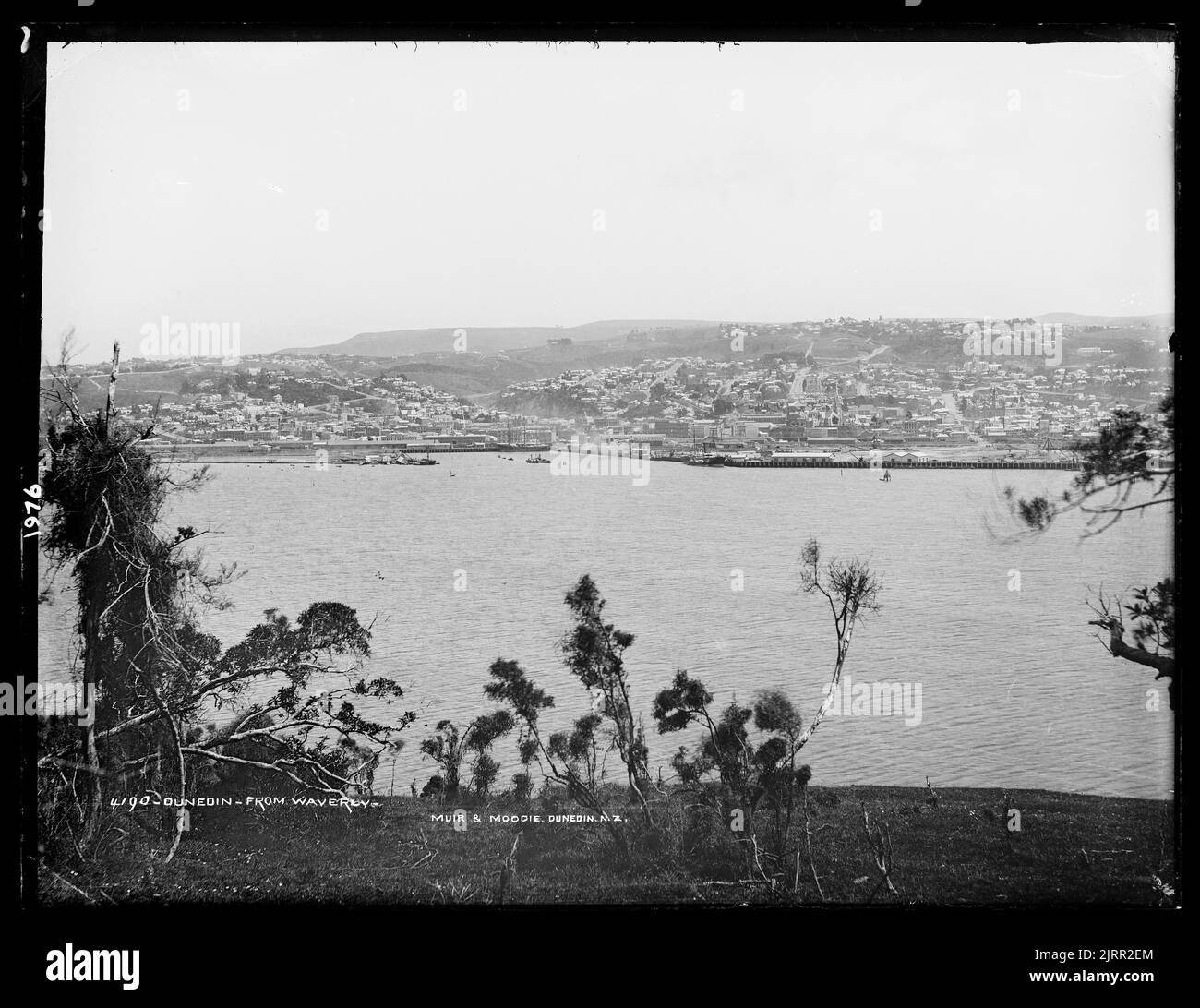 Panorama of dunedin Black and White Stock Photos & Images - Alamy