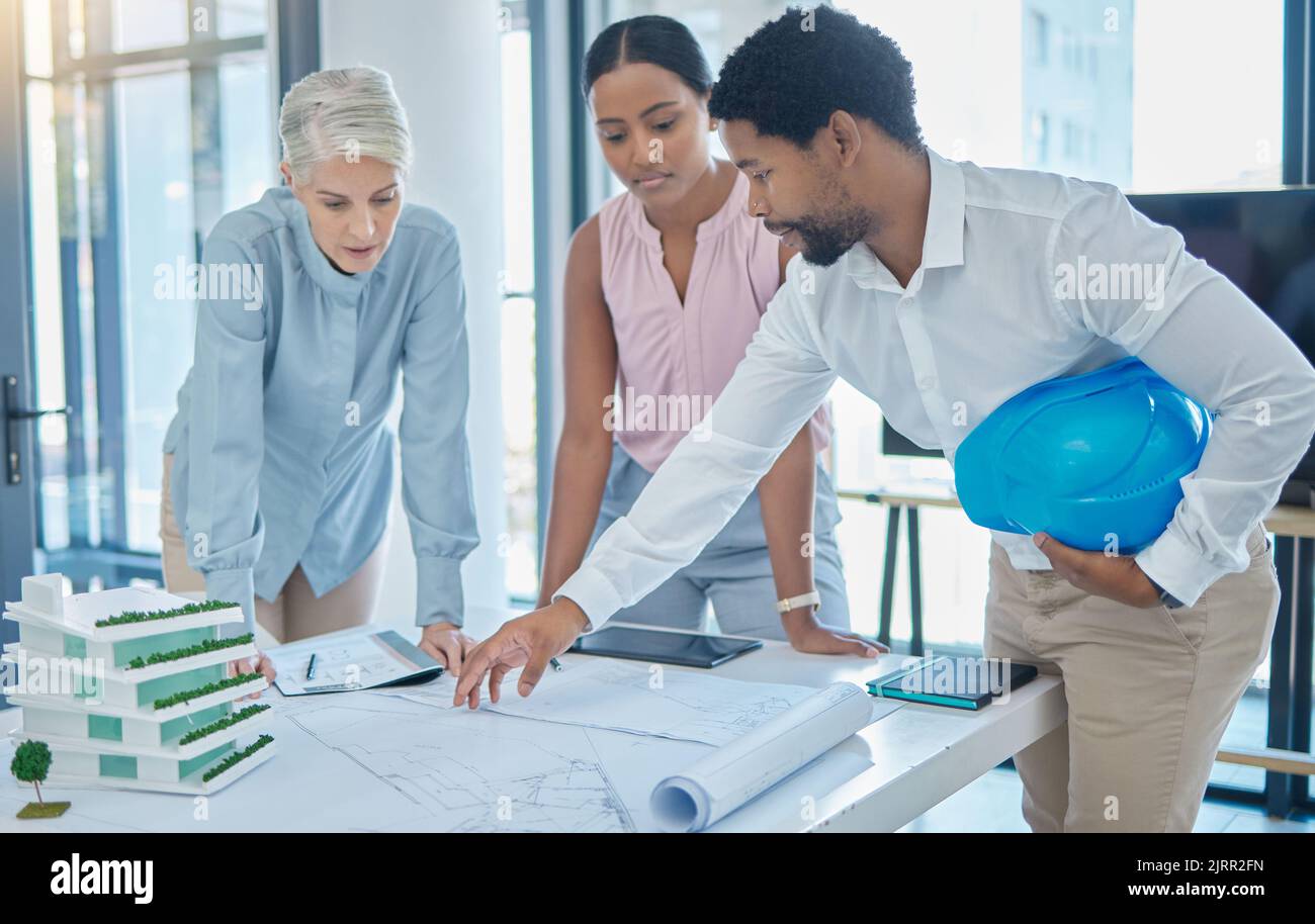 Design, construction and an architect in an office with blueprints, a ...