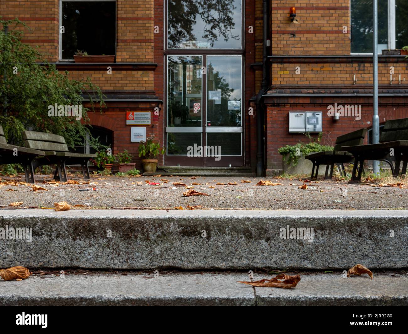 Dead dry leaves lying on the ground together with waste. Path in front ...