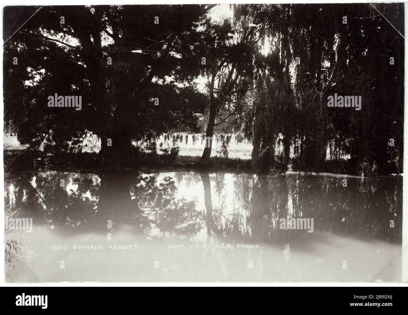 Domain, Ashburton, circa 1912, Ashburton, by Muir & Moodie Stock Photo ...