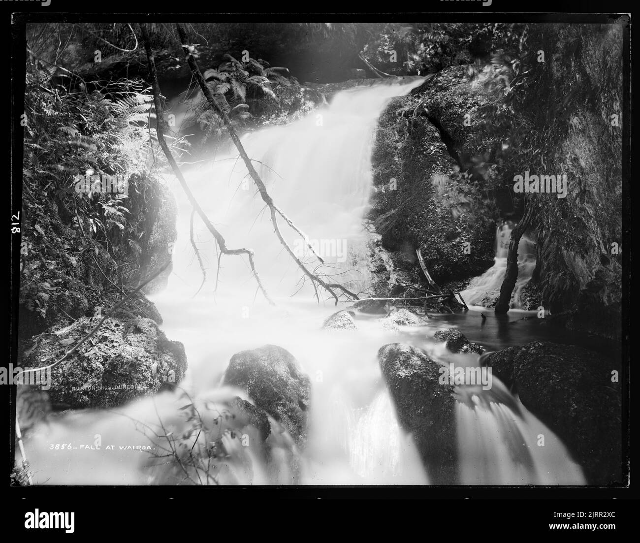 Wairoa river hi-res stock photography and images - Alamy