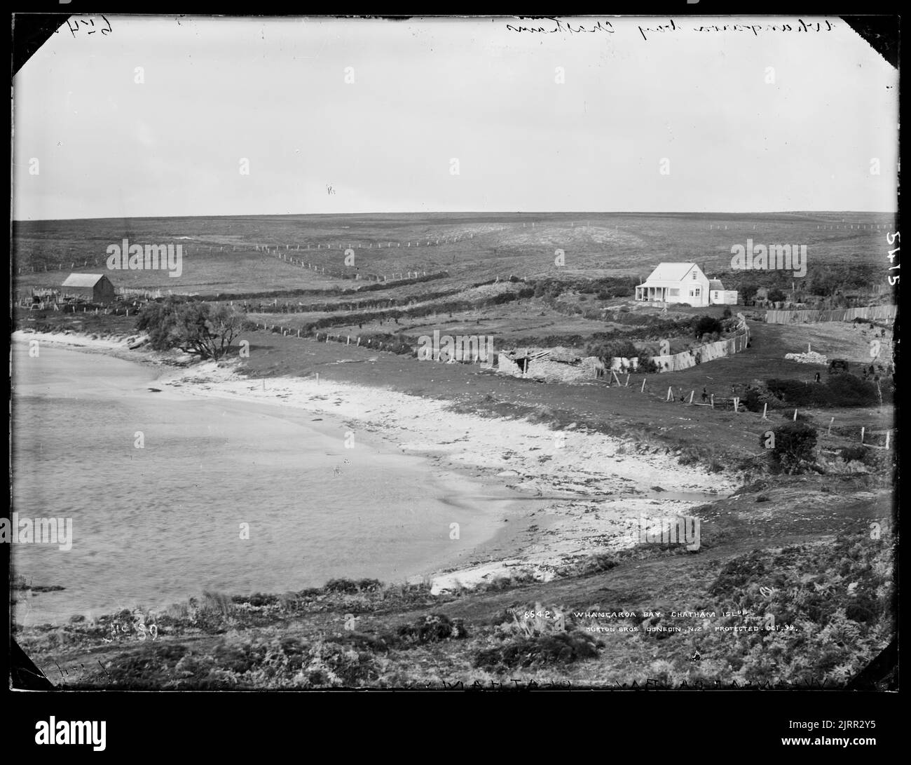 Whangaroa Bay, Chatham Islands, circa 1888, Chatham Islands, by William ...