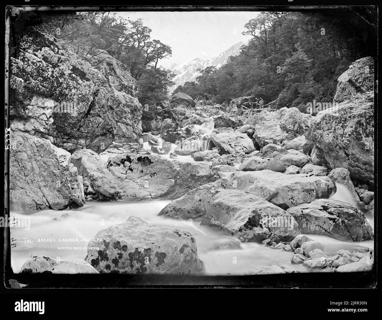 Jacob's Ladder, West Coast Road, 1879, Dunedin, by Burton Brothers ...