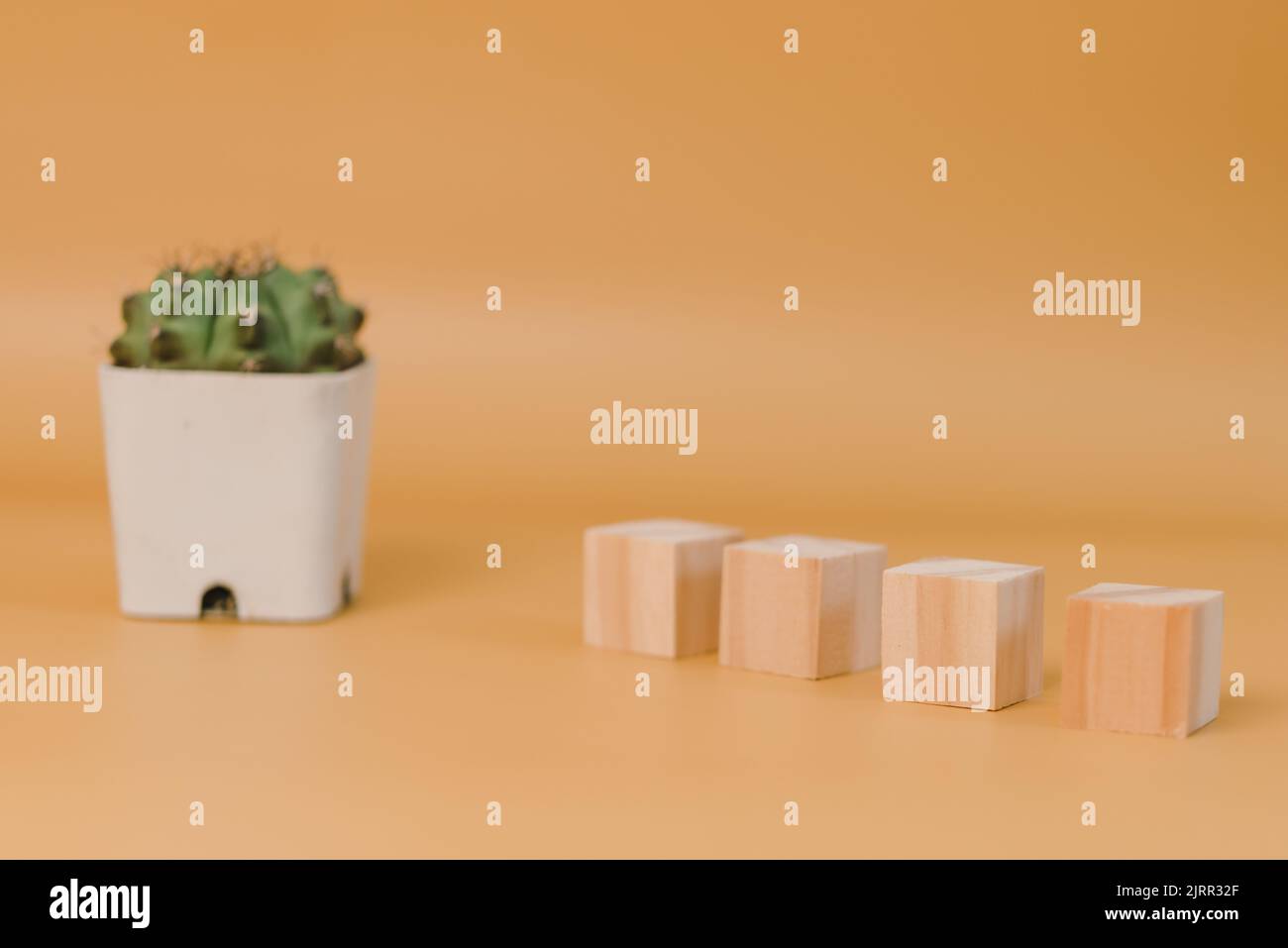 wood cube block blank and tree on yellow background Stock Photo - Alamy