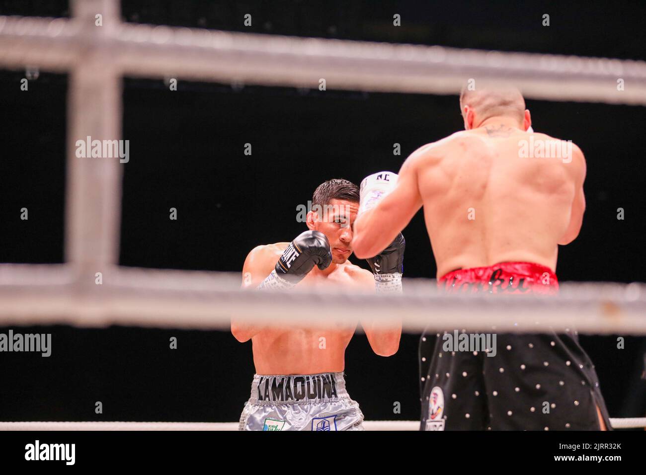 WBC Welter Weight Silver Interim Florian Marku vs Miguel Parra Stock ...