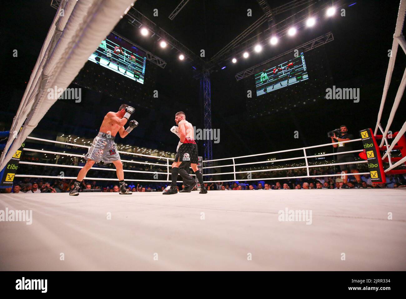 WBC Welter Weight Silver Interim Florian Marku vs Miguel Parra Stock ...