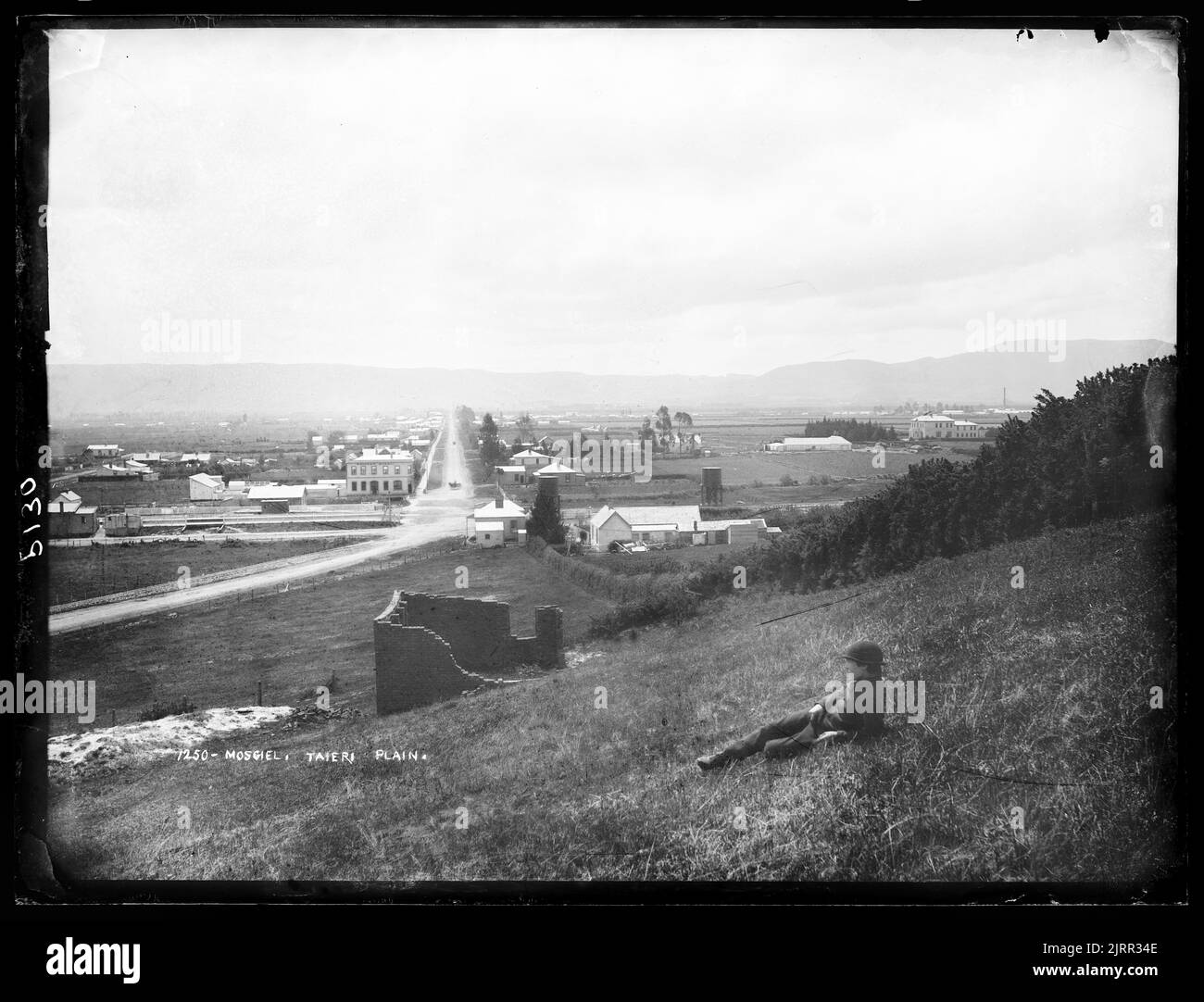 Mosgiel, Taieri Plain, New Zealand, by Burton Brothers Stock Photo - Alamy