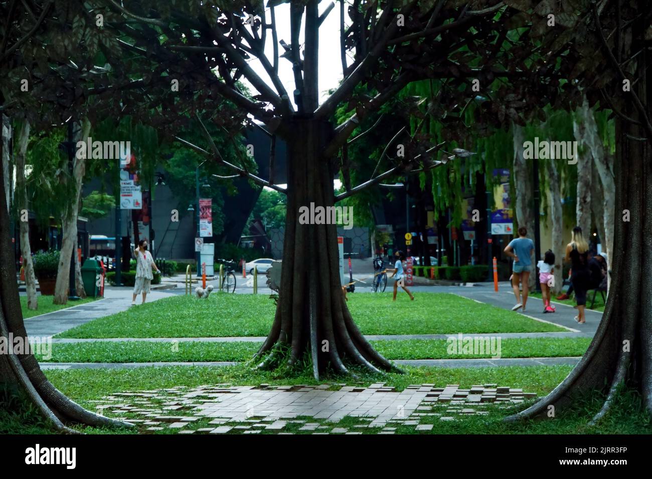 Tres Cepas in the Metro Stock Photo - Alamy