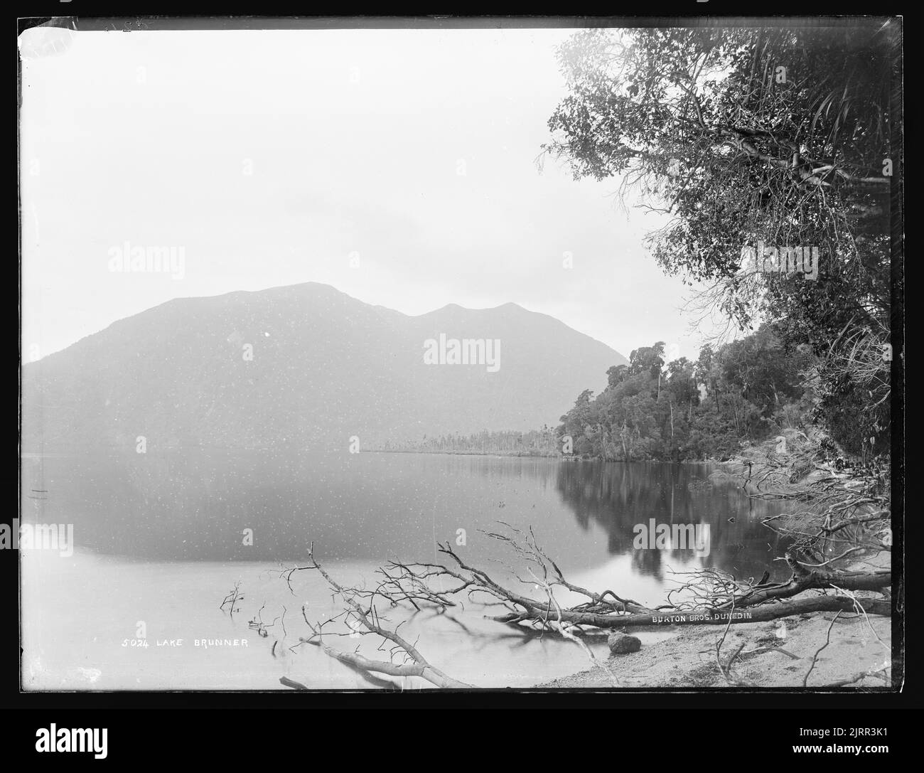 Lake Brunner, New Zealand, by Burton Brothers Stock Photo - Alamy