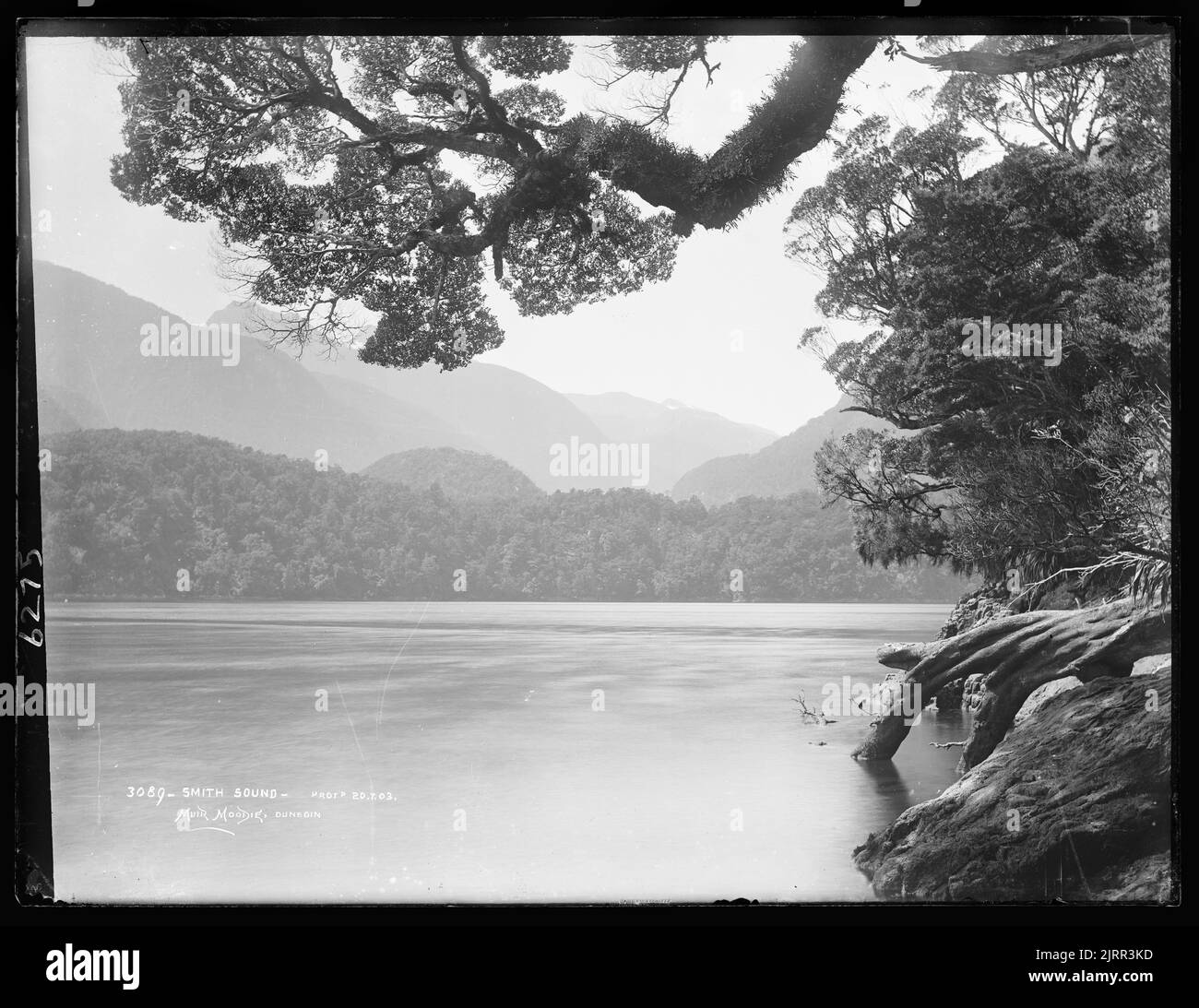 Smith Sound, 1885, Dunedin, by Burton Brothers, Alfred Burton Stock ...