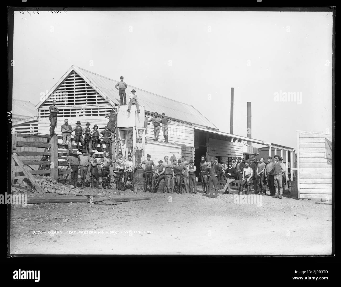 Gears meat preserving works hi-res stock photography and images - Alamy