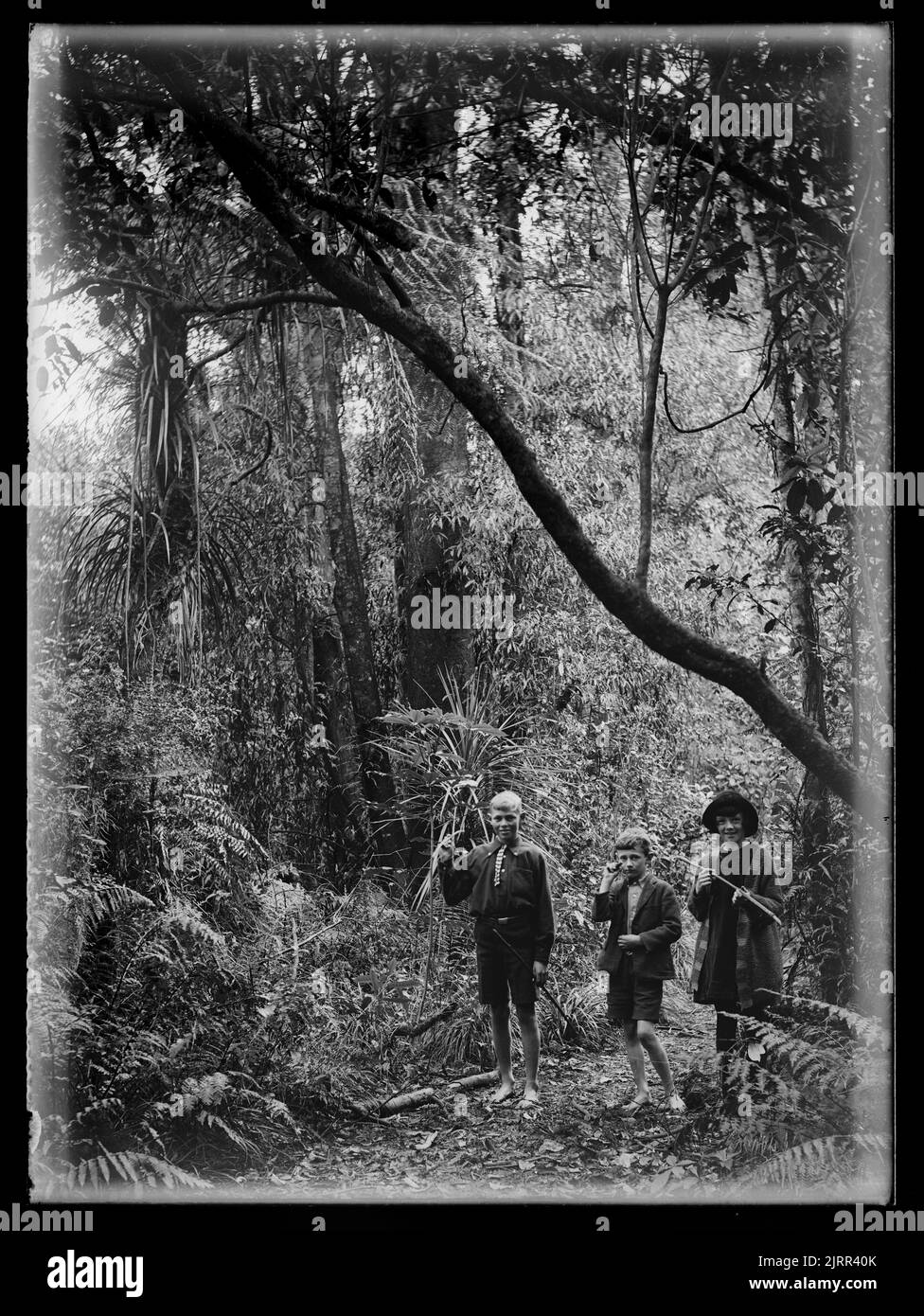 Excursions from Woodside (including Masterton visit) - December 1928 ...