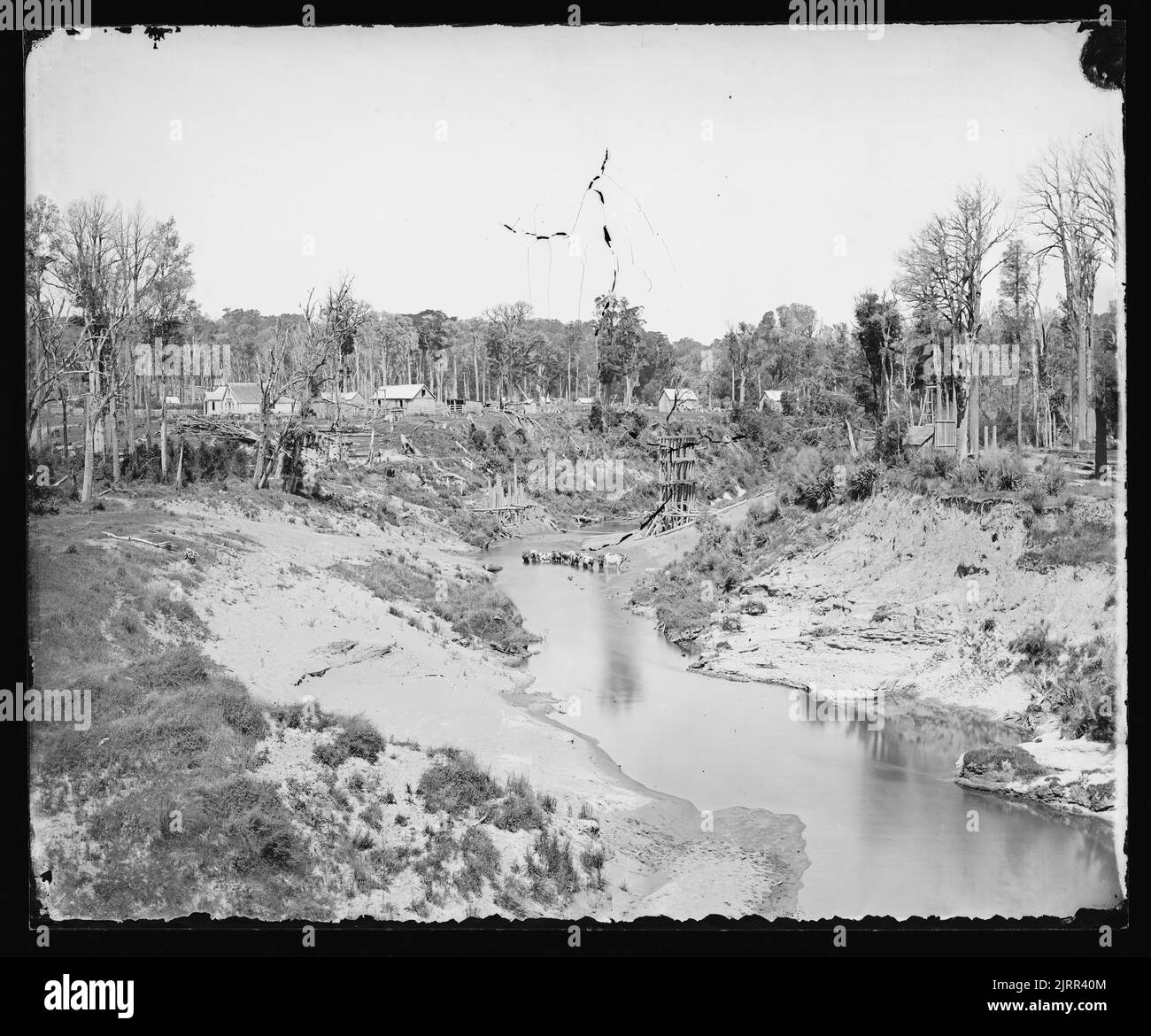 Taueru hi-res stock photography and images - Alamy