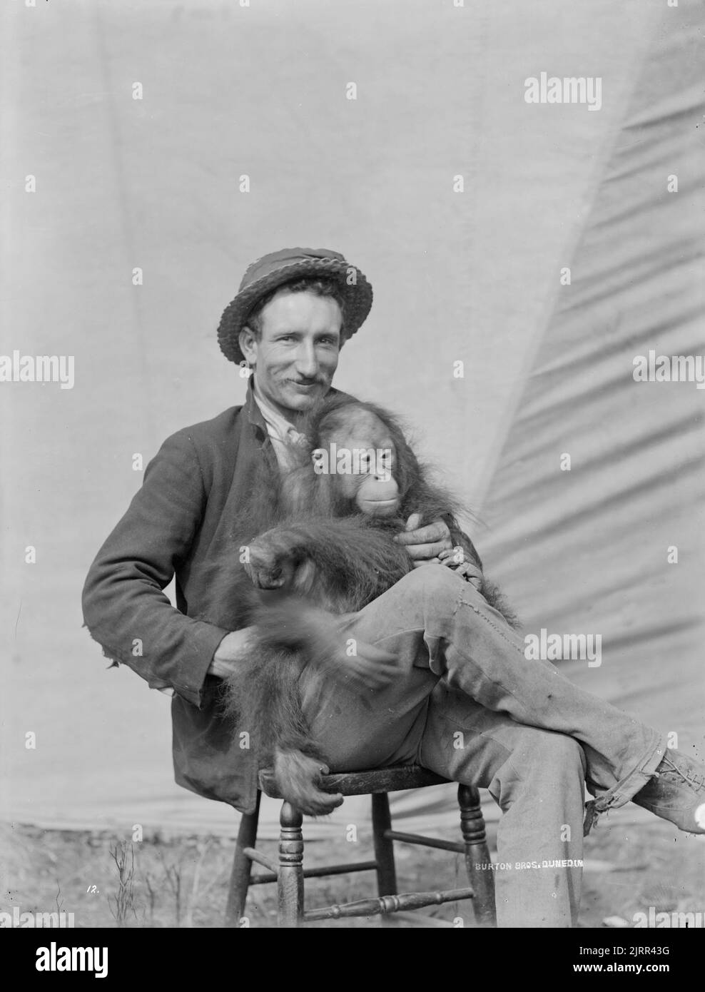 Fitzgerald Brothers Circus & Menagerie, circa 1894, Dunedin, by Burton ...