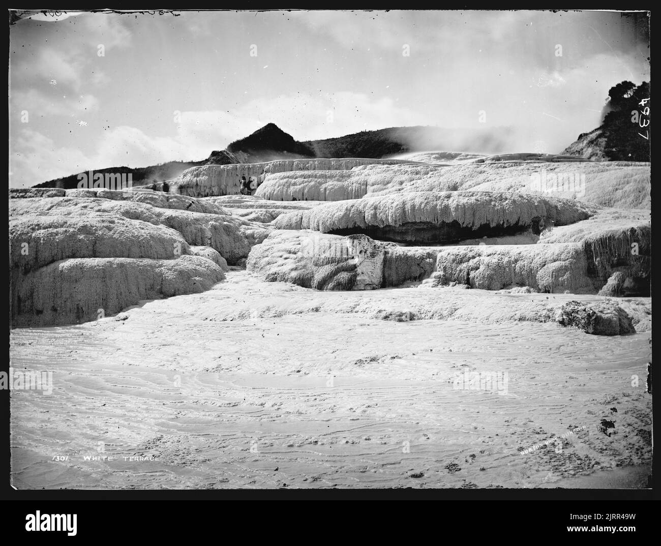 White Terrace, 1882, New Zealand, by Charles Spencer, Burton Brothers ...