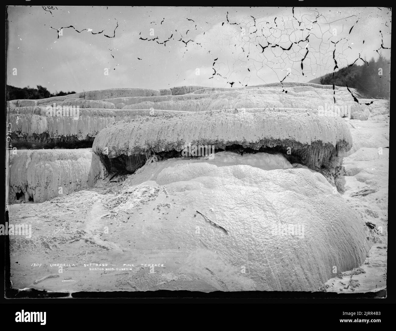 Umbrella Buttress, Pink Terrace, 1882, New Zealand, by Charles Spencer ...