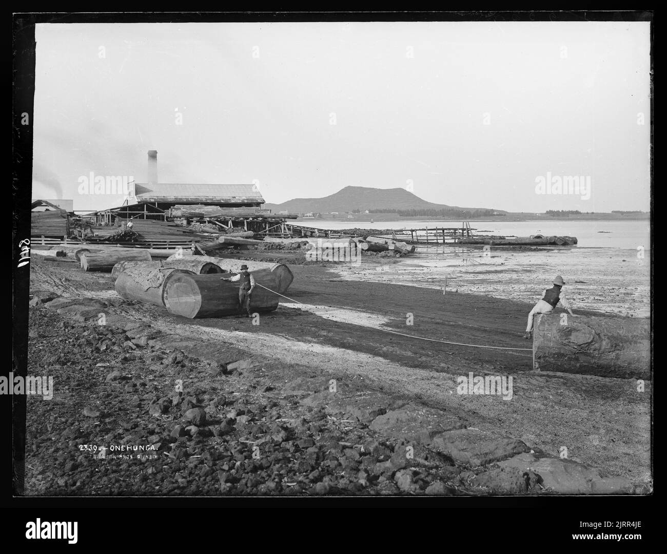 Onehunga hi-res stock photography and images - Alamy