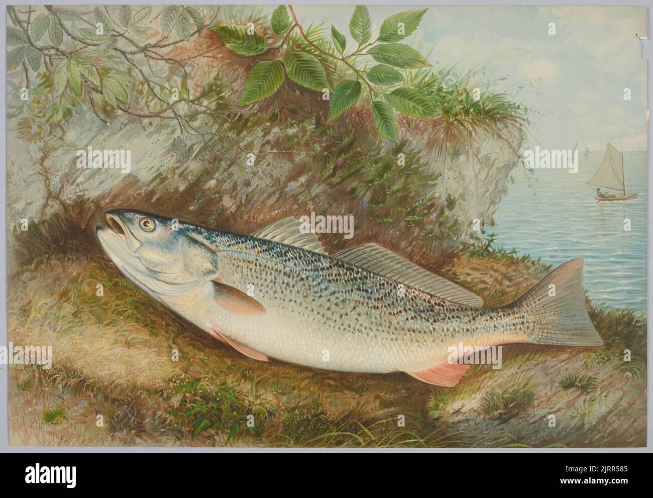 Samuel kilbourne hi-res stock photography and images - Alamy