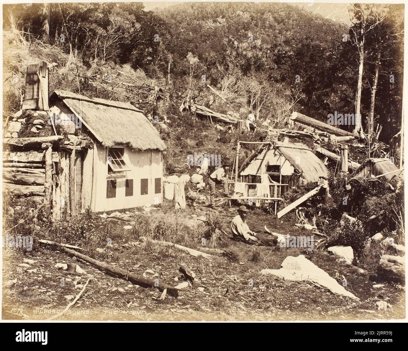 Milford Sound, the "City". From the album: New Zealand Views, 1882 ...