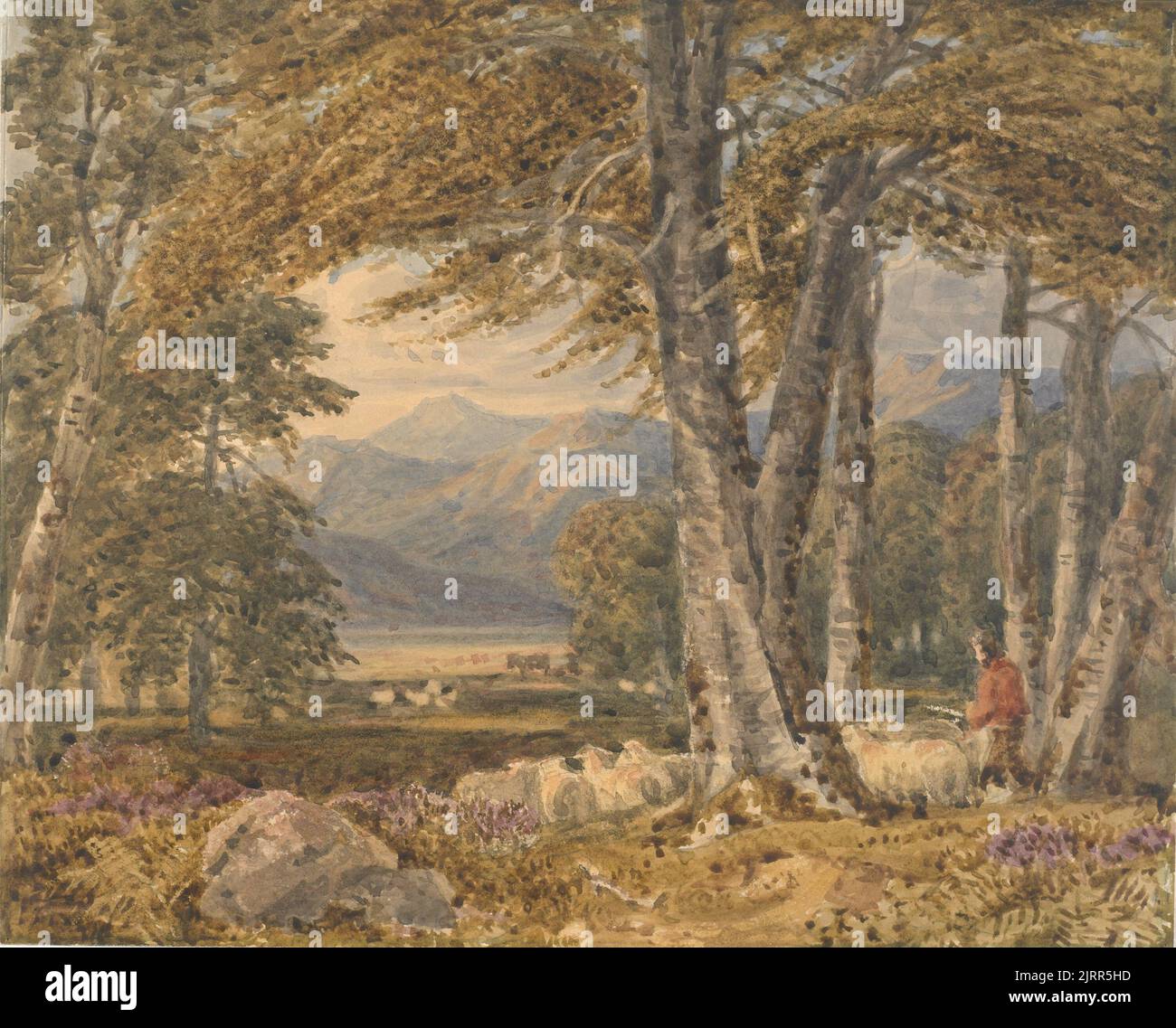 Landscape through trees, by George Barret. Gift of Archdeacon F.H.D ...