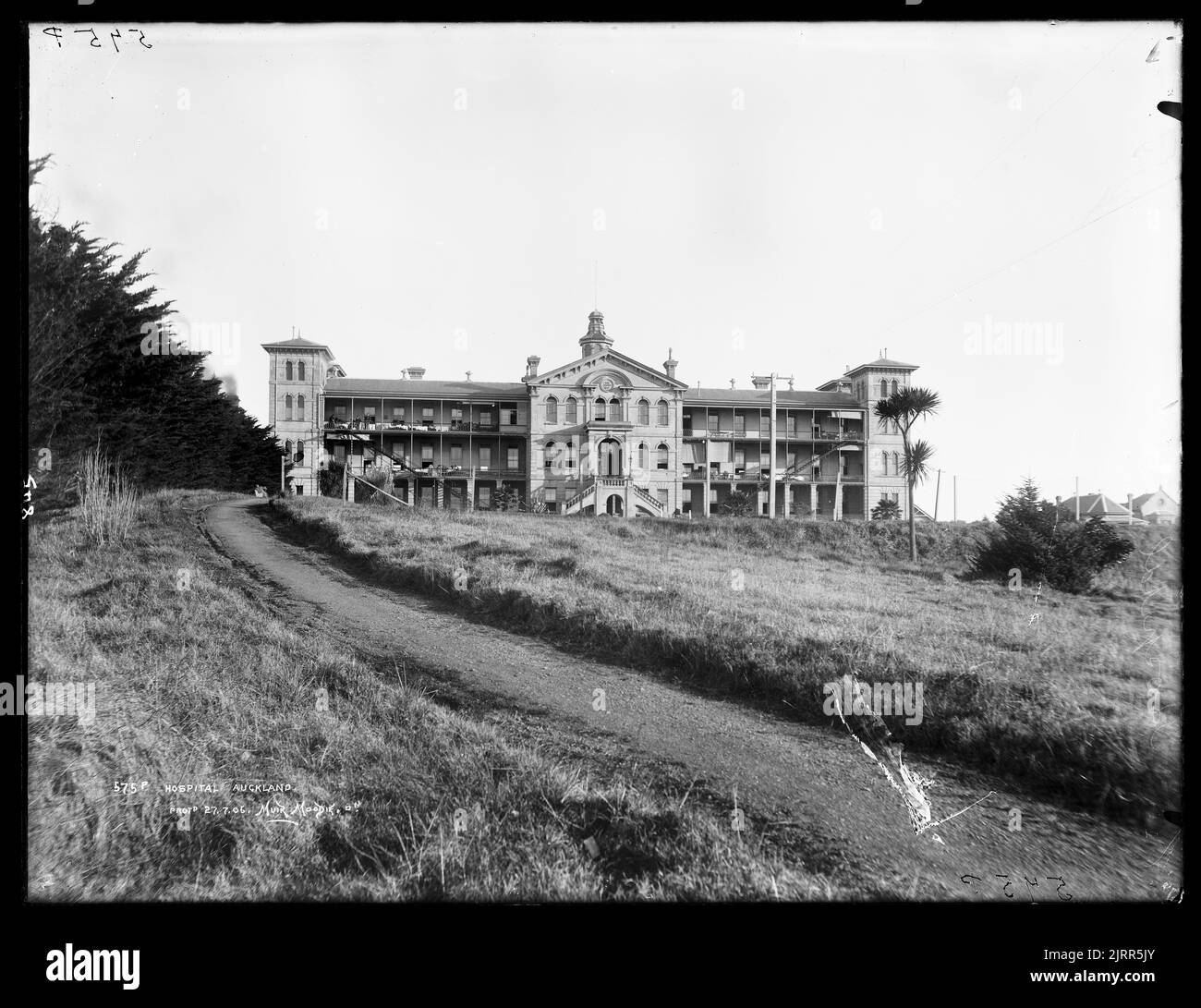 Auckland hospital hi-res stock photography and images - Alamy