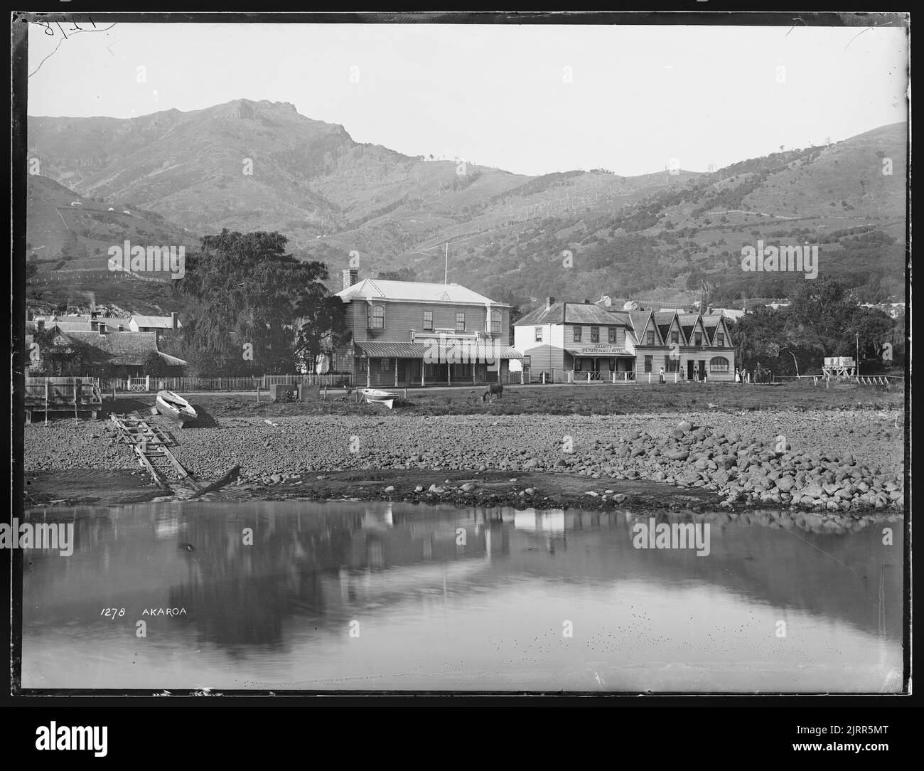 New zealand te papa Black and White Stock Photos & Images - Alamy