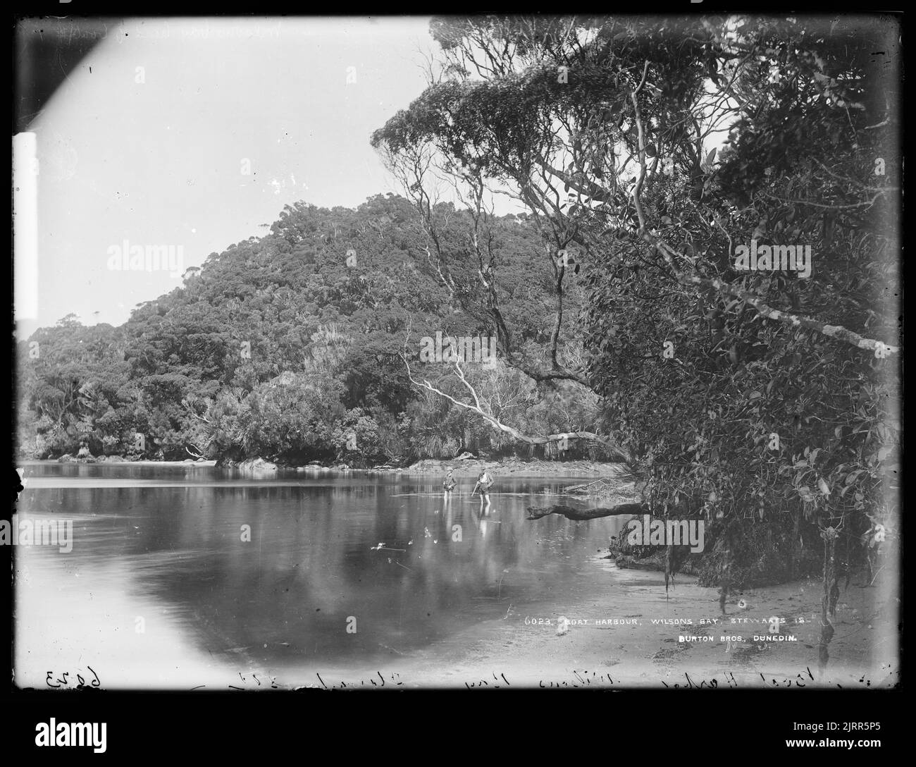 Boat Harbour, Wilsons Bay, Stewart Island, circa 1888, Stewart Island ...