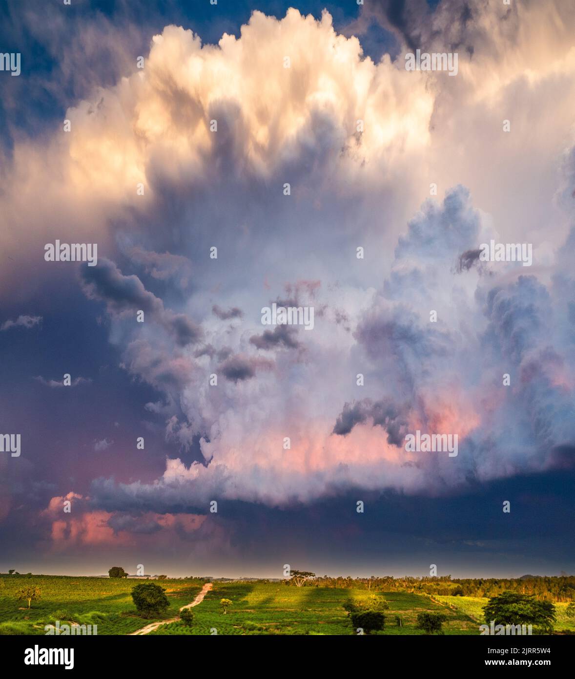 Bizarre bizarre bizarre bizarre bizarre hi-res stock photography and ... Bizarre bizarre bizarre bizarre bizarre hi-res stock photography and ...