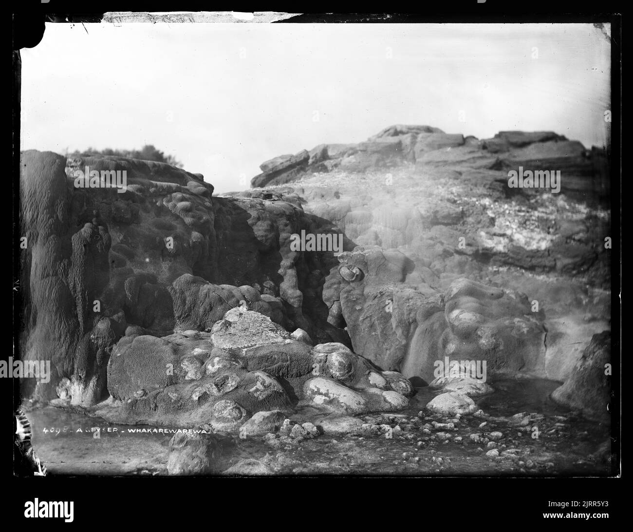 A geyser, Whakarewarewa, 1886, New Zealand, by Burton Brothers ...