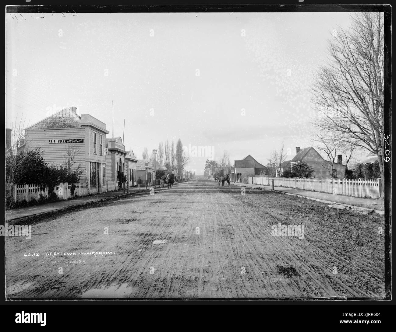 Greytown, Wairarapa, New Zealand, by Burton Brothers Stock Photo - Alamy