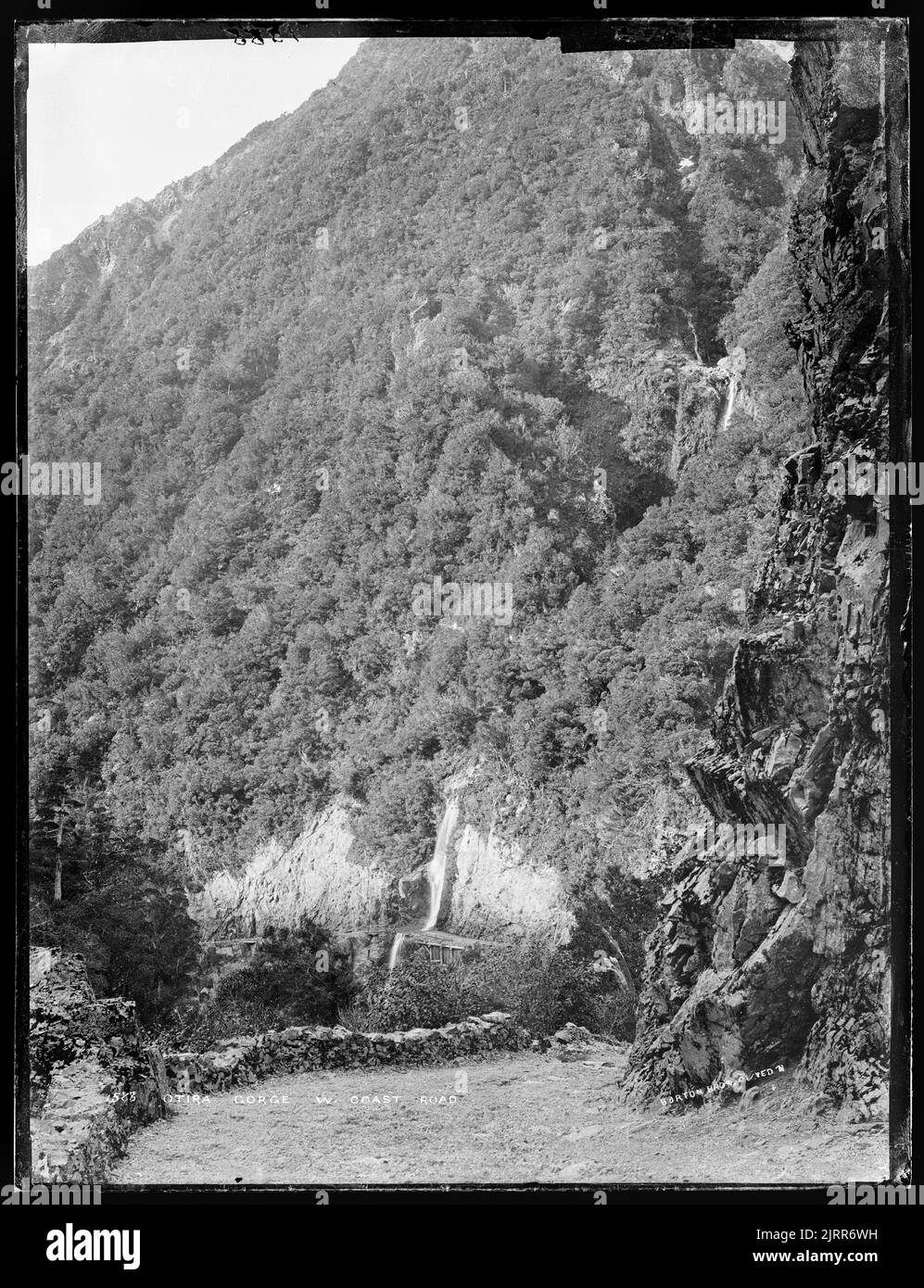 Otira Gorge, West Coast Road, New Zealand, by Burton Brothers Stock ...