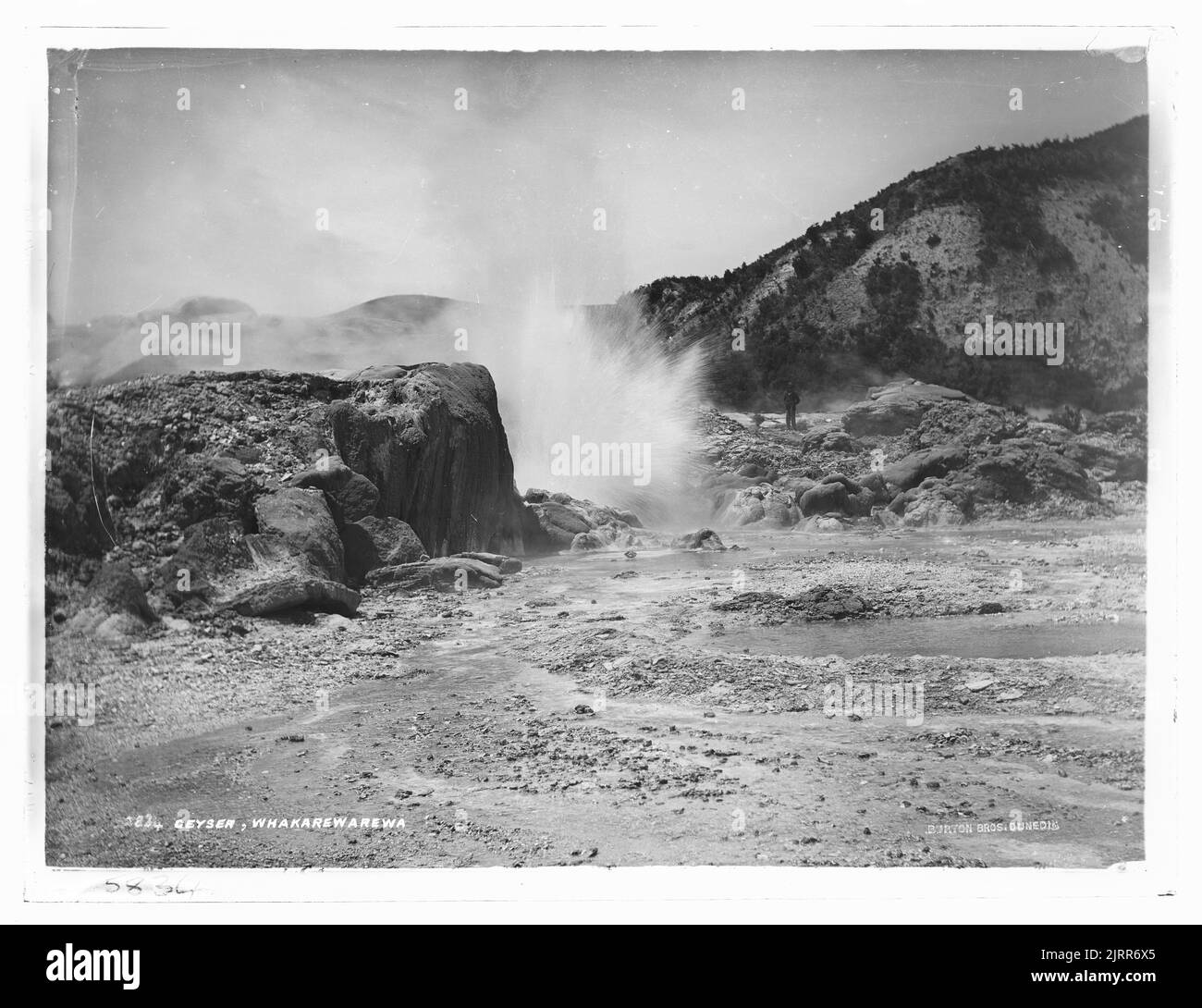 Geothermal geyser Cut Out Stock Images & Pictures - Alamy