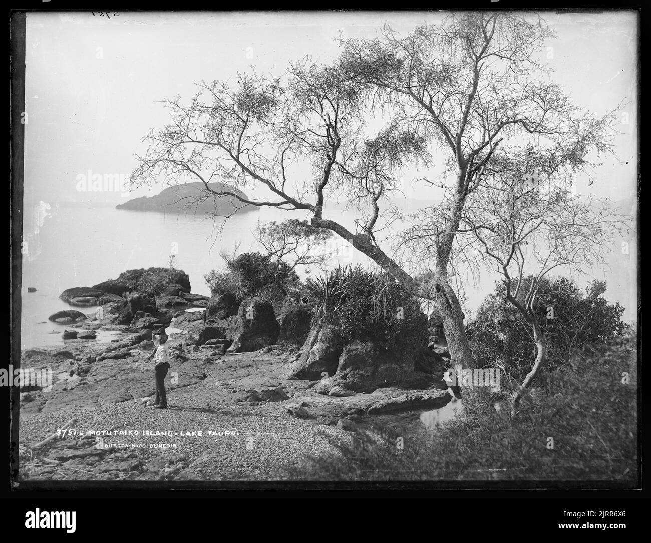 Motutaiko Island, Lake Taupo, New Zealand, by Burton Brothers Stock ...