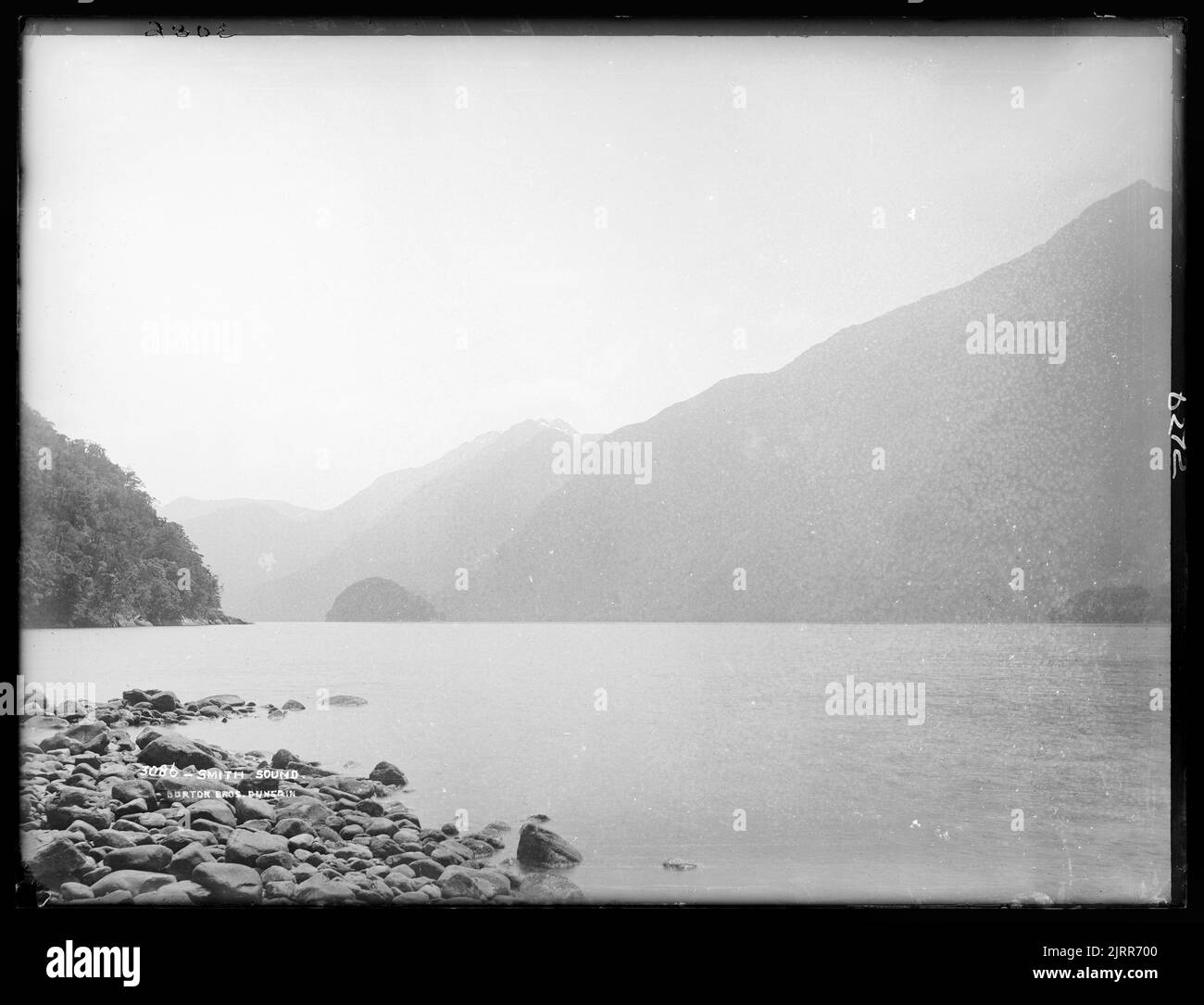 Smith Sound, 1885, Dunedin, by Burton Brothers, Alfred Burton Stock ...