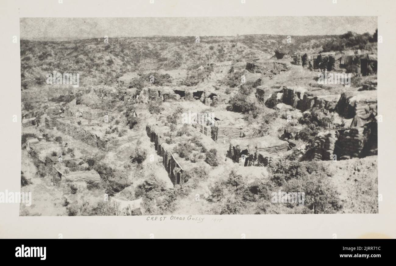 Gallipoli Military Campaign: Crest of Otago Gully, Gallipoli, October ...