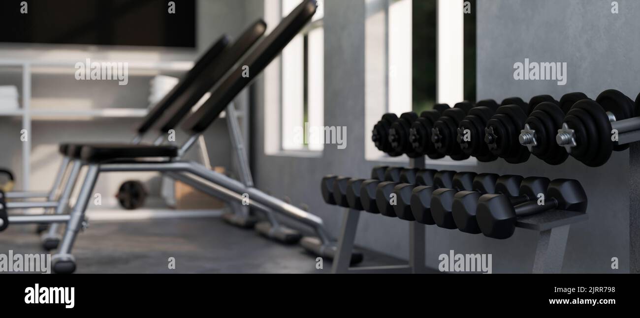 Modern fitness gym background with rows of professional dumbbells and ...