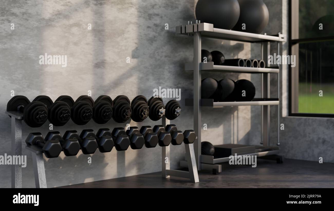 Modern loft fitness gym or training room interior design with rows of ...