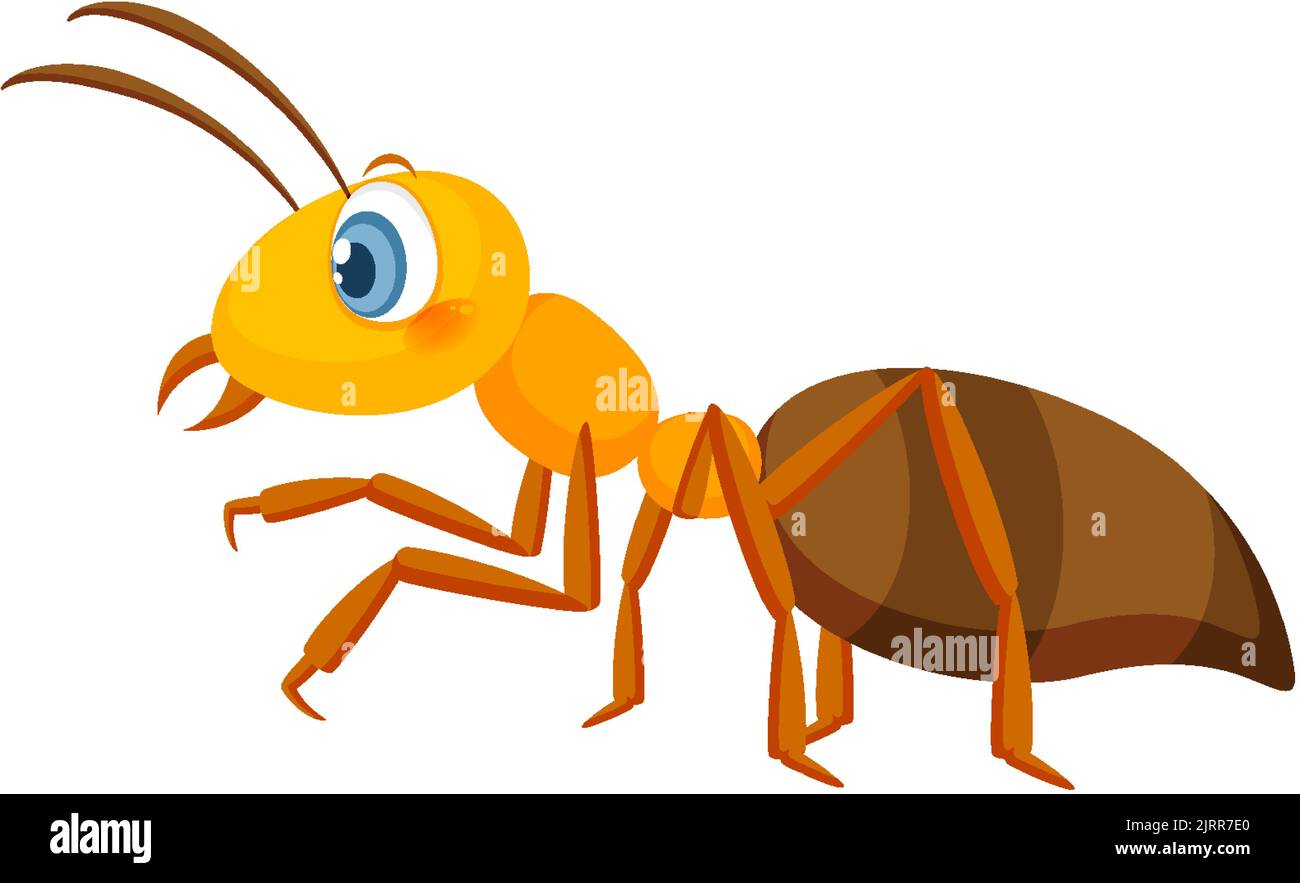 Yellow ant isolated on white background illustration Stock Vector Image ...