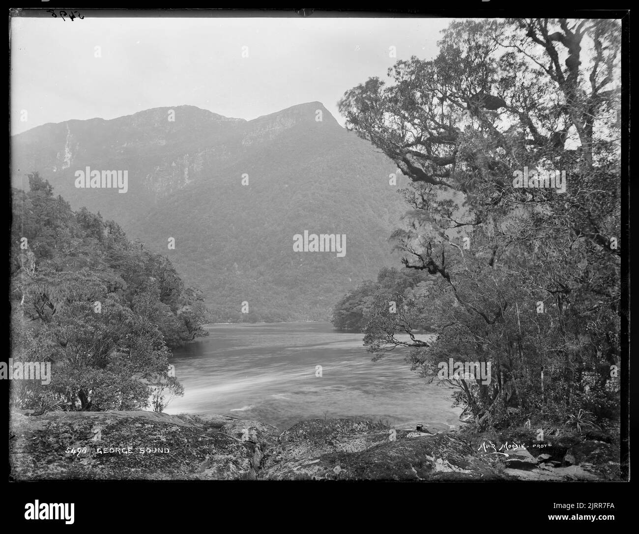George Sound, 1893, Dunedin, by Burton Brothers, George Moodie Stock ...