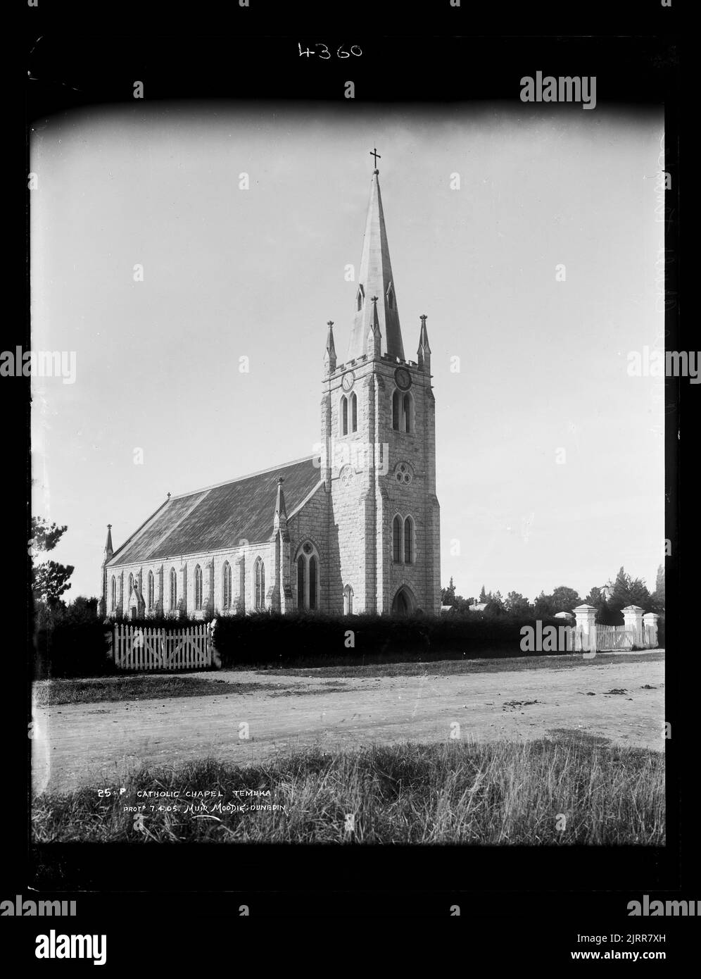 Temuka hi-res stock photography and images - Alamy